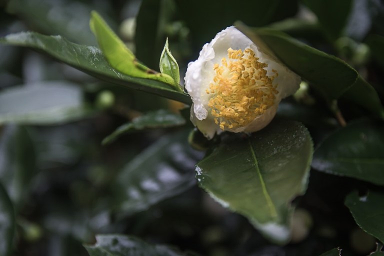 Photography – Reverse Retrograde