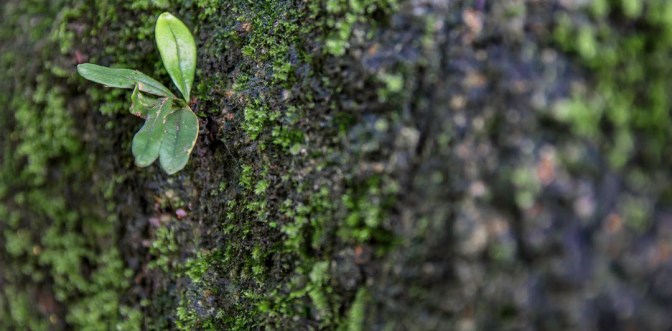 Photography – Reverse Retrograde