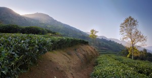 Photography – Reverse Retrograde